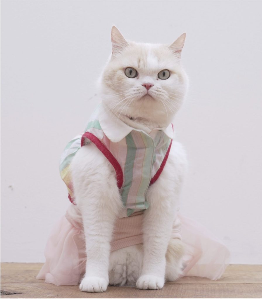 新メンバー所属のお知らせ | GRAM MODEL MANAGEMENT